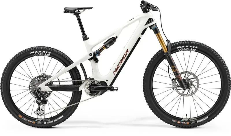 Full suspension ebike